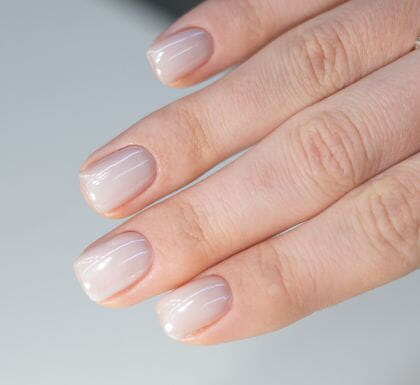 Shellac - Default Store View